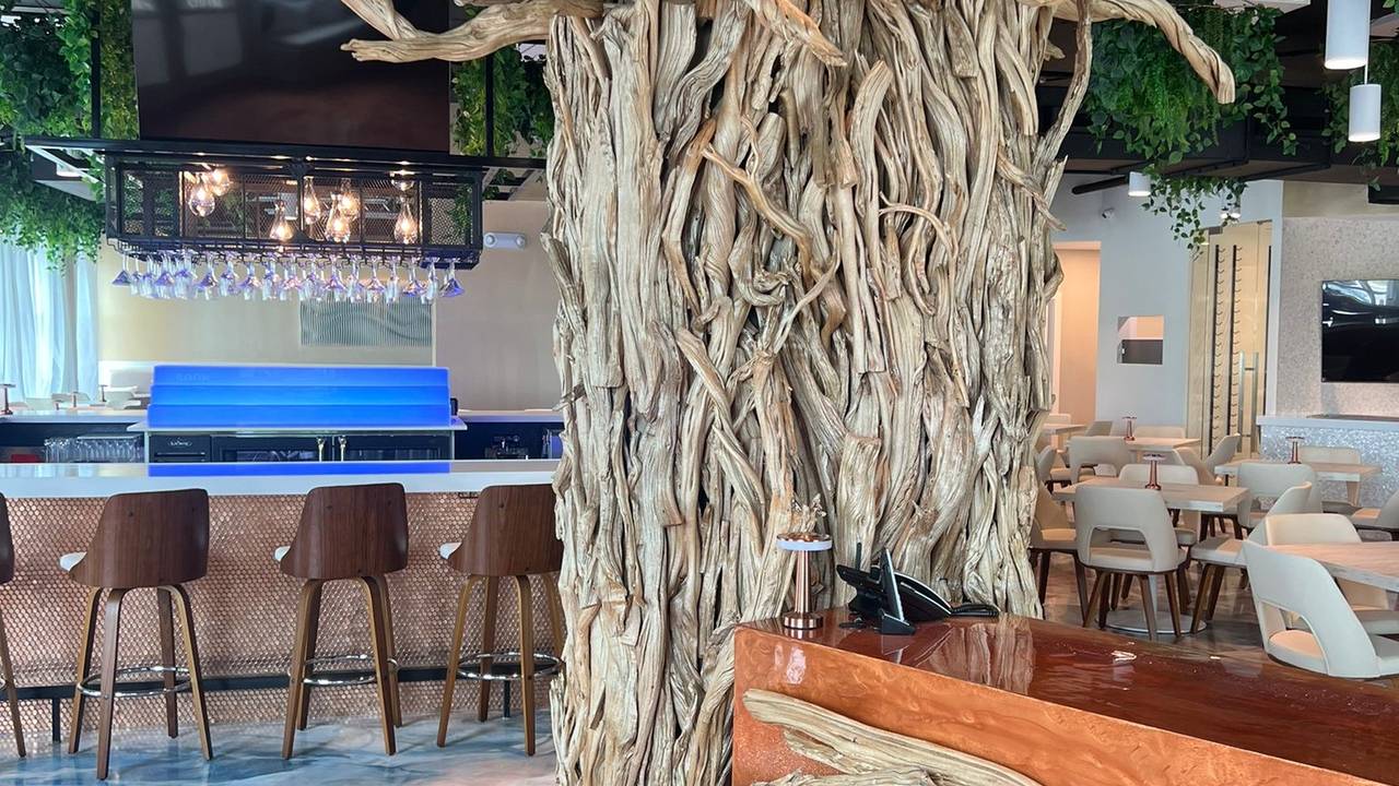 Lefkes Estiatorio Brings a Taste of Greece and Vibrant Nightlife to ...